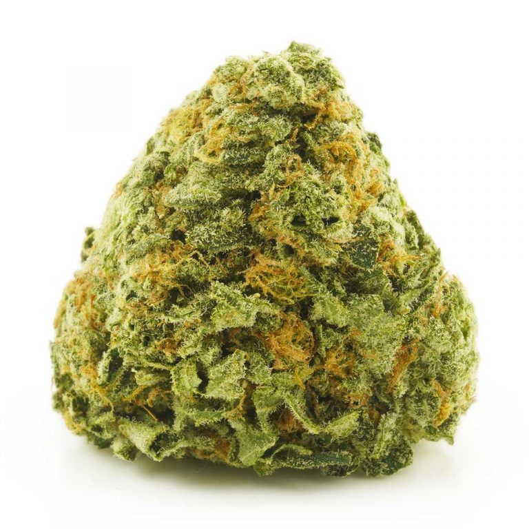 Buy Alien Poison AAAA Online - MMJ Express