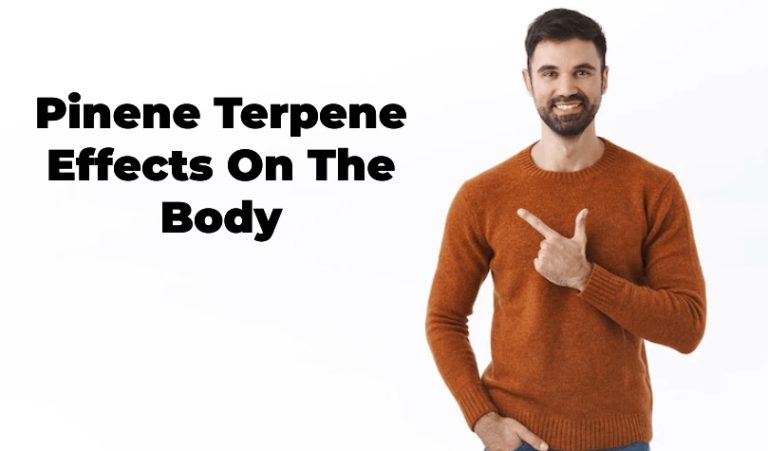 What Is Pinene & What Are Its Benefits in Cannabis - MMJ Express